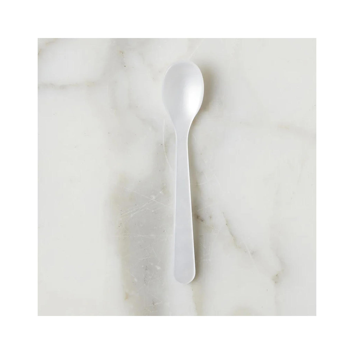Acrylic Dip Spoons– Greentail Table